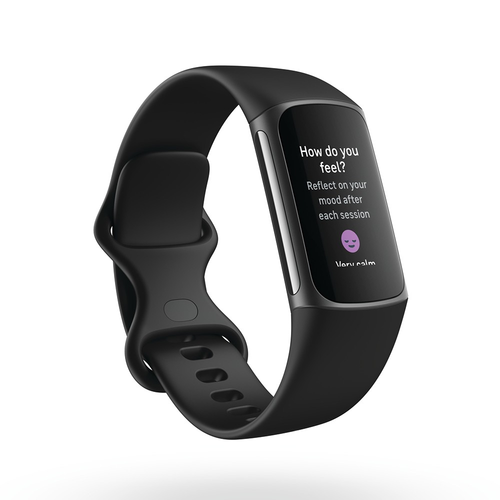 Fitbit Smartwatch Charge 5 Graphite/Black