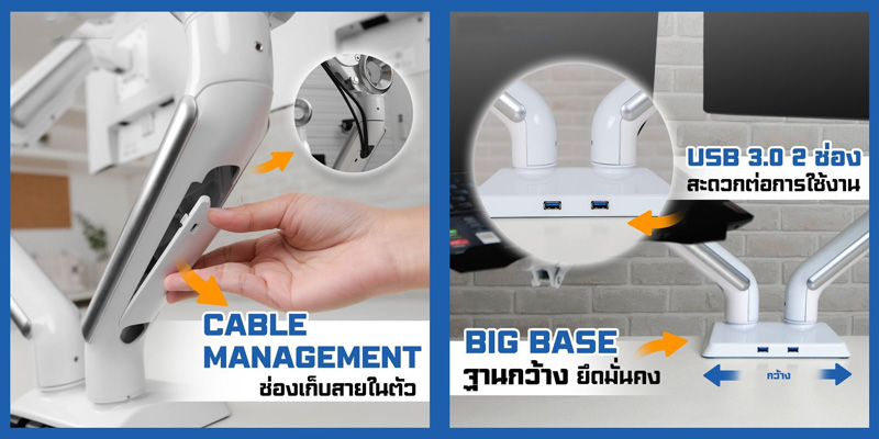 ขาตั้งจอมอนิเตอร์ ERGONOZ Dual Monitor Arm Twin Astro White