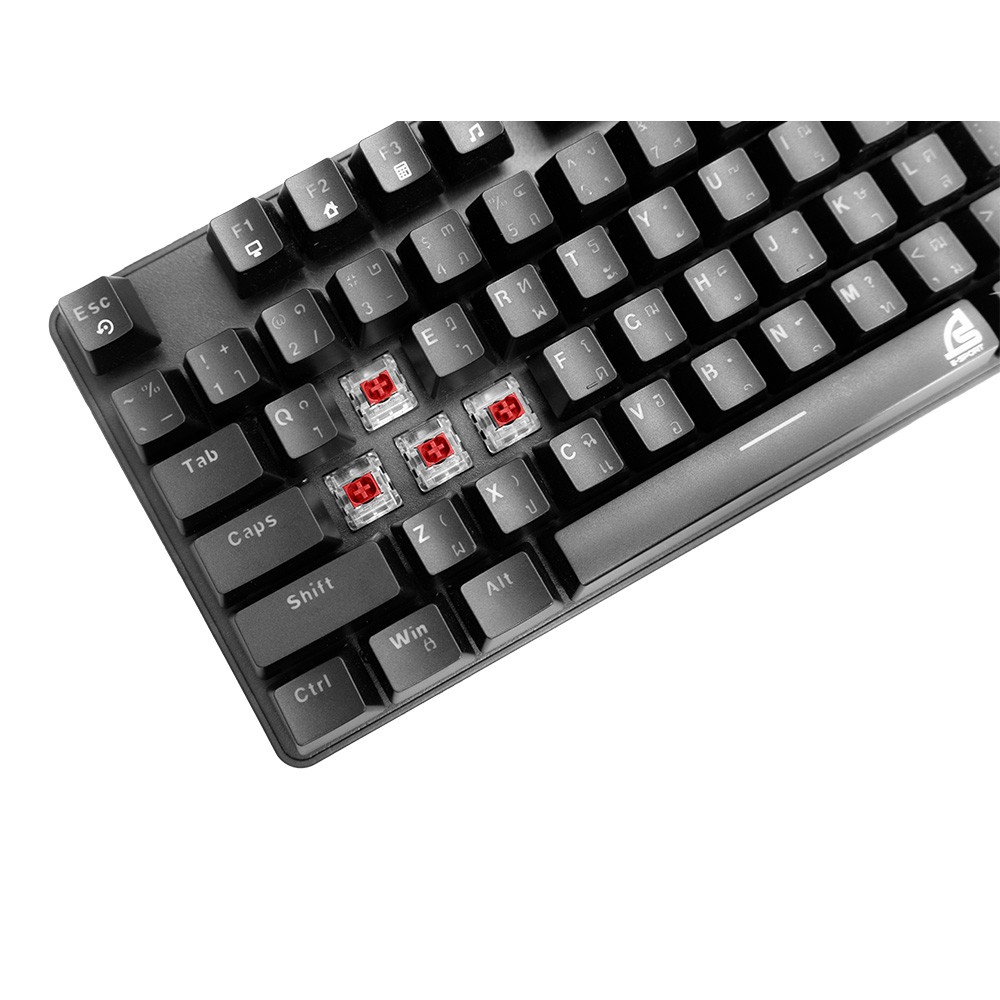คีย์บอร์ดเกมมิ่ง Signo Gaming Keyboard Maiden KB-761 TKL Mechanical ...