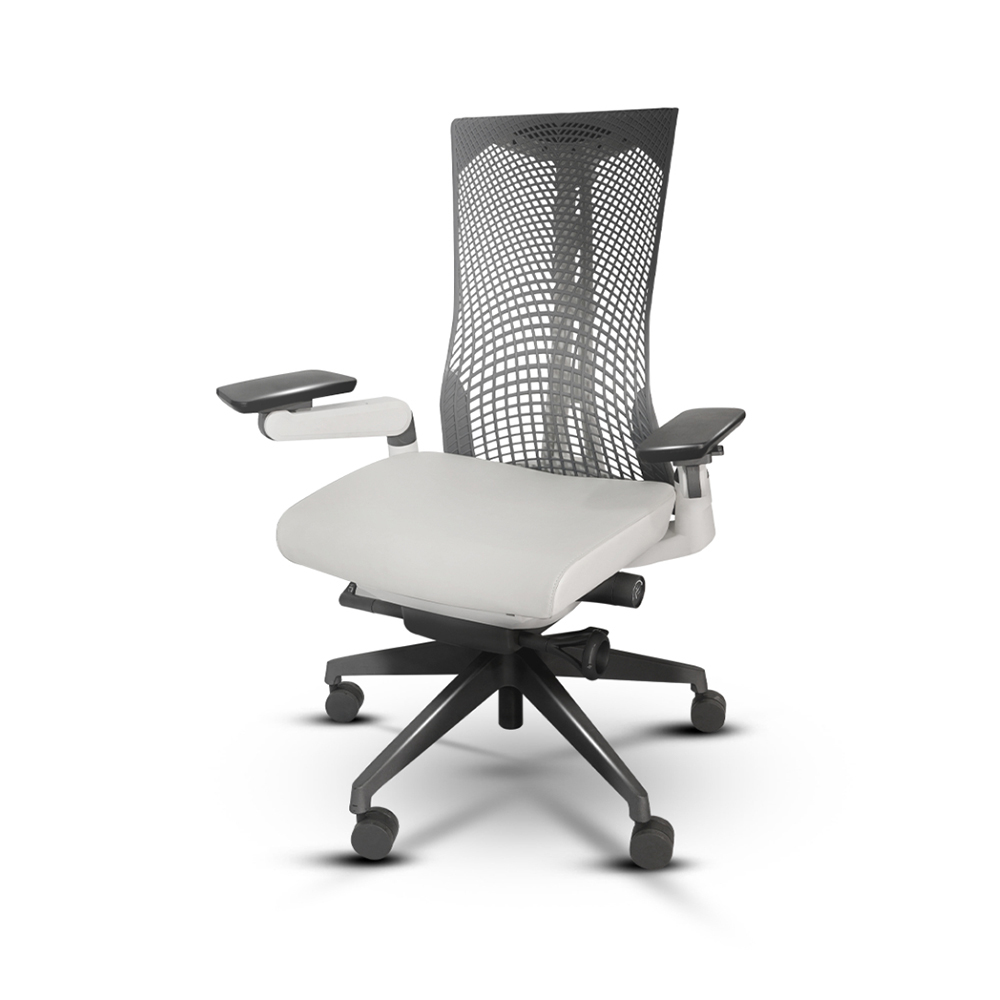 เก้าอี้ทำงานเพื่อสุขภาพ BEWELL ERGONOMIC CHAIR CUDDLE (LOW)