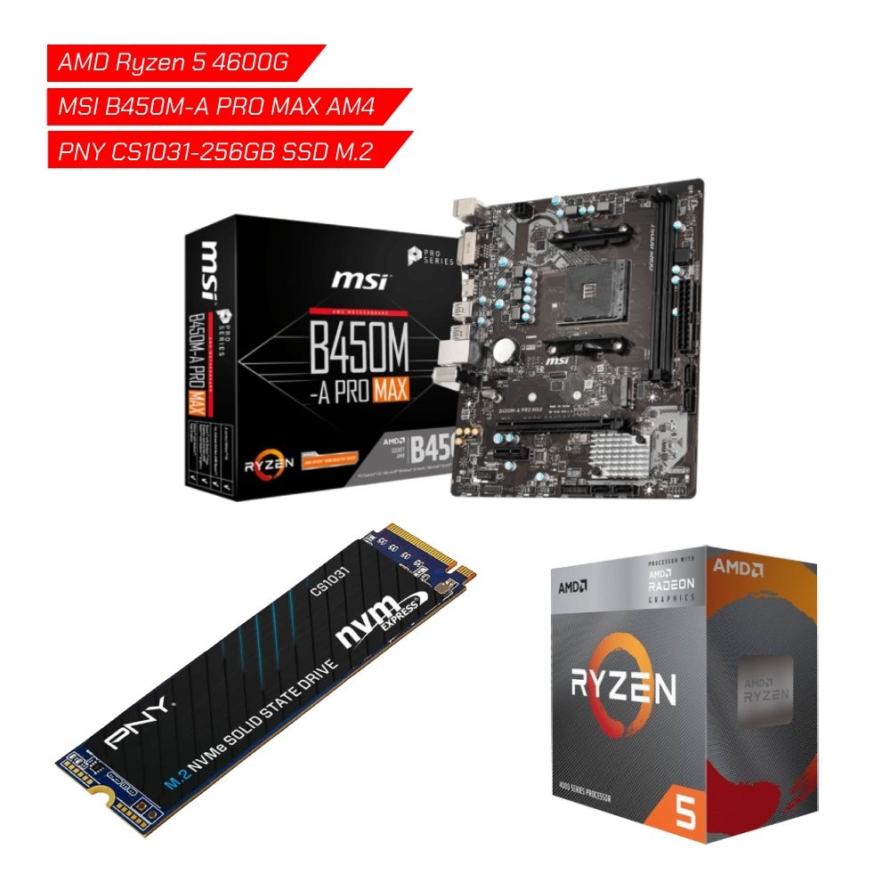 ชุดคอมโบแพ็ค AMD Combo Pack 2 - Ryzen 5 4600G + MB B450 + SSD NVMe 256GB
