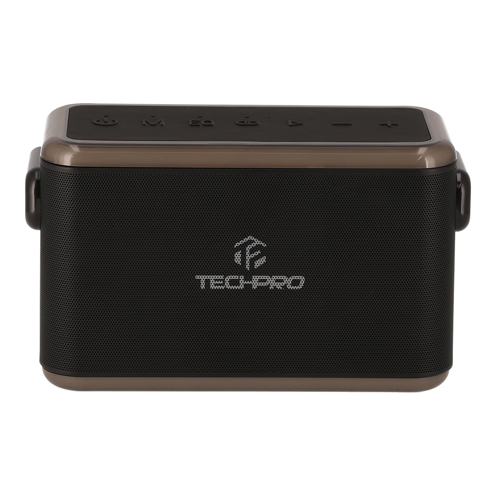 ลำโพงไร้สาย TECHPRO A1 Powerful 80W Stereo Sound สี Black